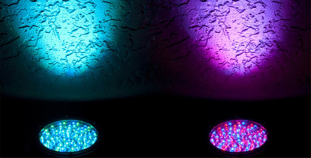 Wedding Services | Neon Pineapple